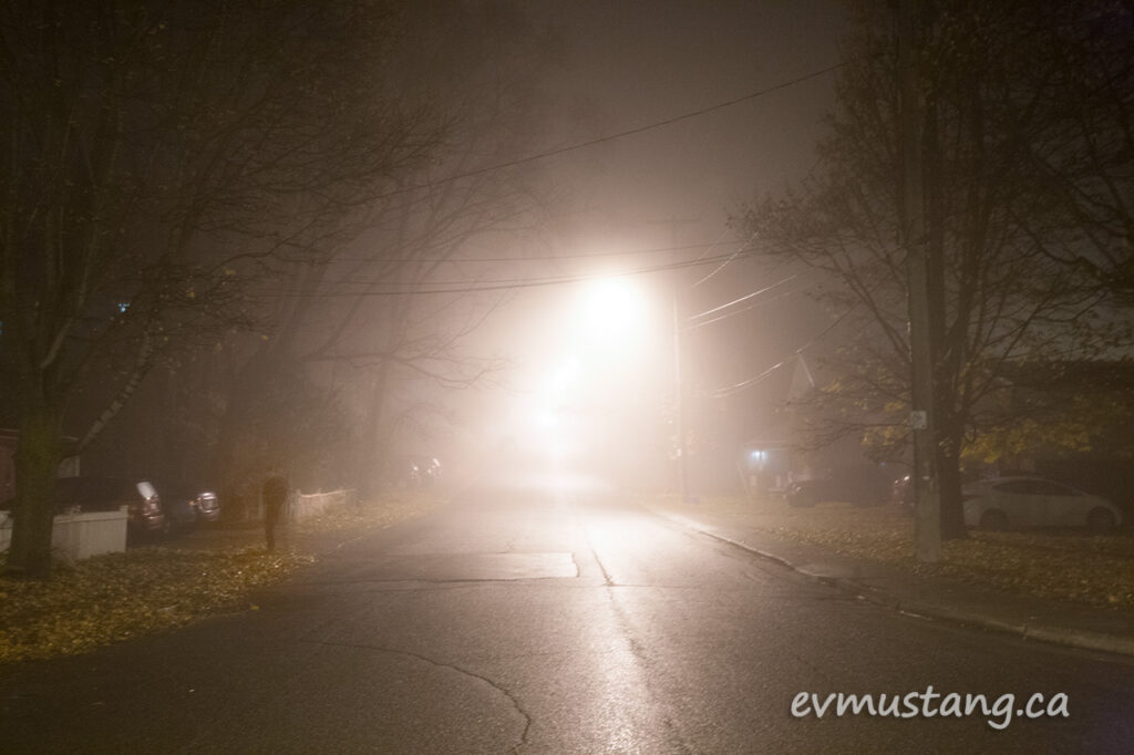 Dense Fog – Mustang